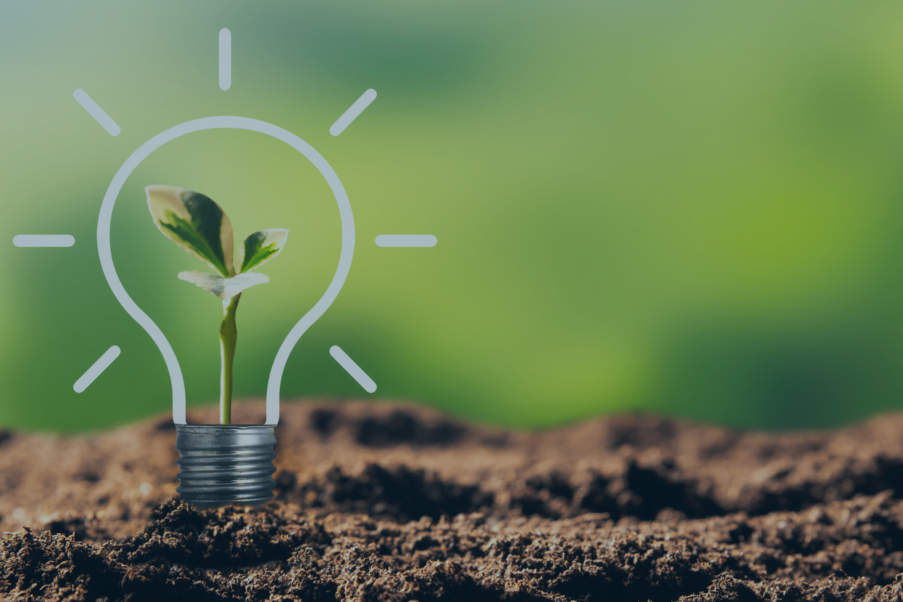 Finance durable : transition écologique et secteur bancaire - Sélection ...